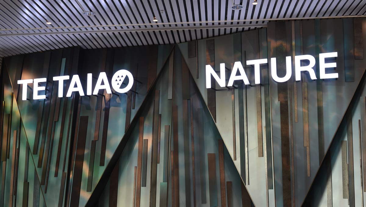 Museum of New Zealand | Te Papa Tongarewa Exhibition Comes to Life with ...